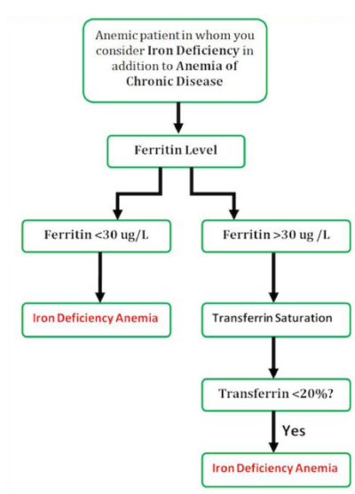 IV Iron for Anemia in Emergency Medicine | EM Cases