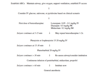 Emergency Management of Pediatric Seizures | EM Cases