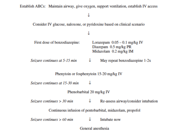 Emergency Management of Pediatric Seizures | EM Cases