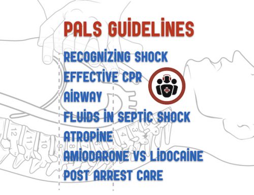 Recognition & Management of Pediatric Sepsis & Septic Shock