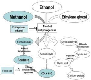 Toxic Alcohols - Minding the Gaps | Emergency Medicine Cases