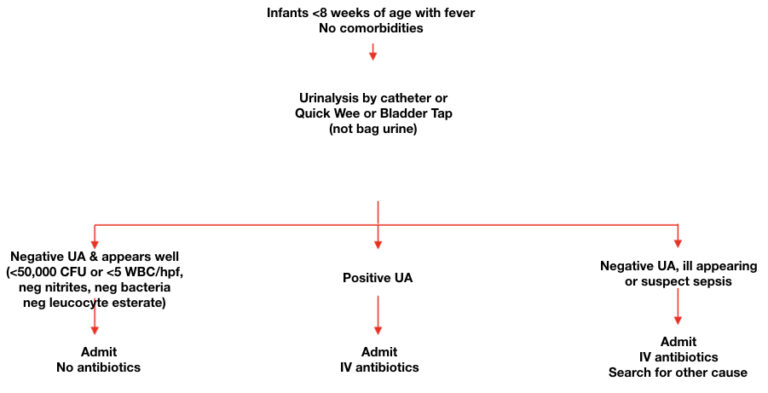 Pediatric UTI Myths and Misperceptions | Emergency Medicine Cases