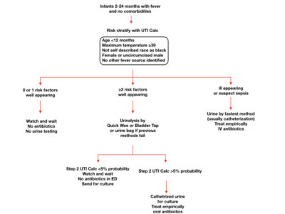 Pediatric UTI Myths and Misperceptions | Emergency Medicine Cases