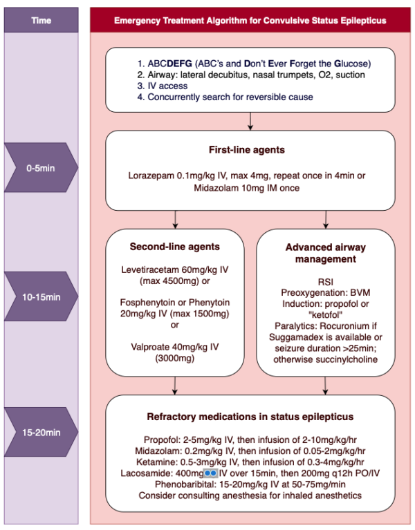 Emergency Management of Status Epilepticus | EM Cases Emergency Management of Status Epilepticus | EM Cases