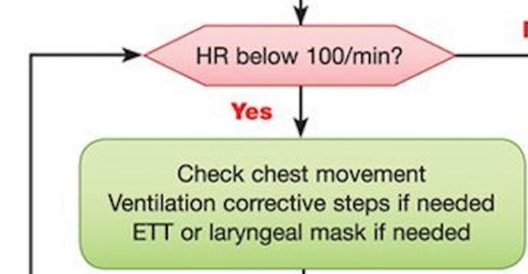 Neonatal Resuscitation | Emergency Medicine Cases | EM Cases