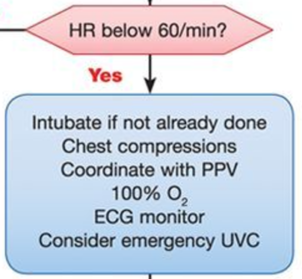 Neonatal Resuscitation | Emergency Medicine Cases | EM Cases