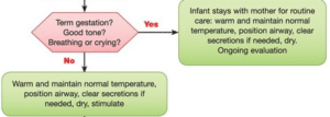 Neonatal Resuscitation | Emergency Medicine Cases | EM Cases