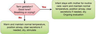 Neonatal Resuscitation | Emergency Medicine Cases | EM Cases