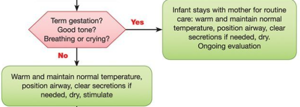 Neonatal Resuscitation | Emergency Medicine Cases | EM Cases