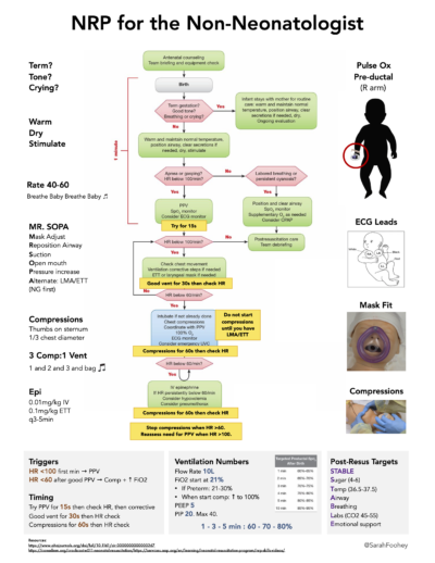 Neonatal Resuscitation | Emergency Medicine Cases | EM Cases