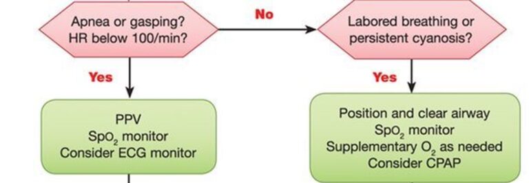 Neonatal Resuscitation | Emergency Medicine Cases | EM Cases