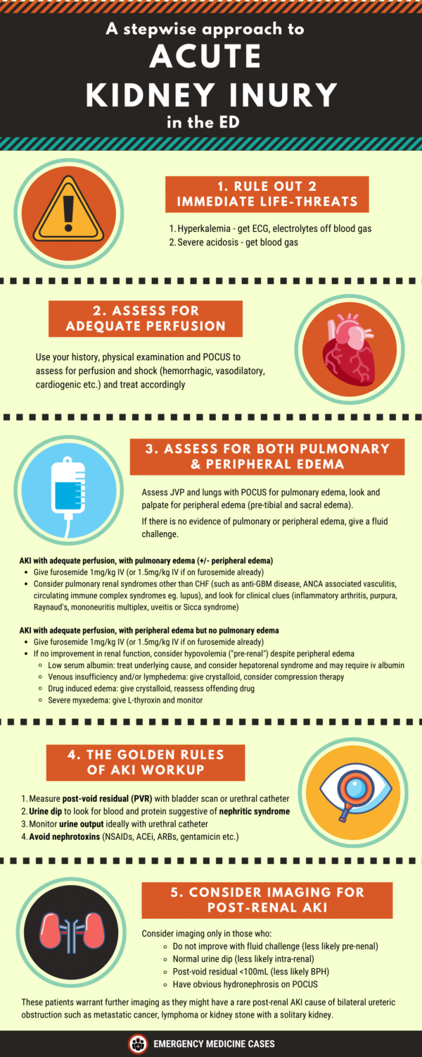 EM Cases: Acute Kidney Injury – A Simple Emergency Approach to AKI - emDocs