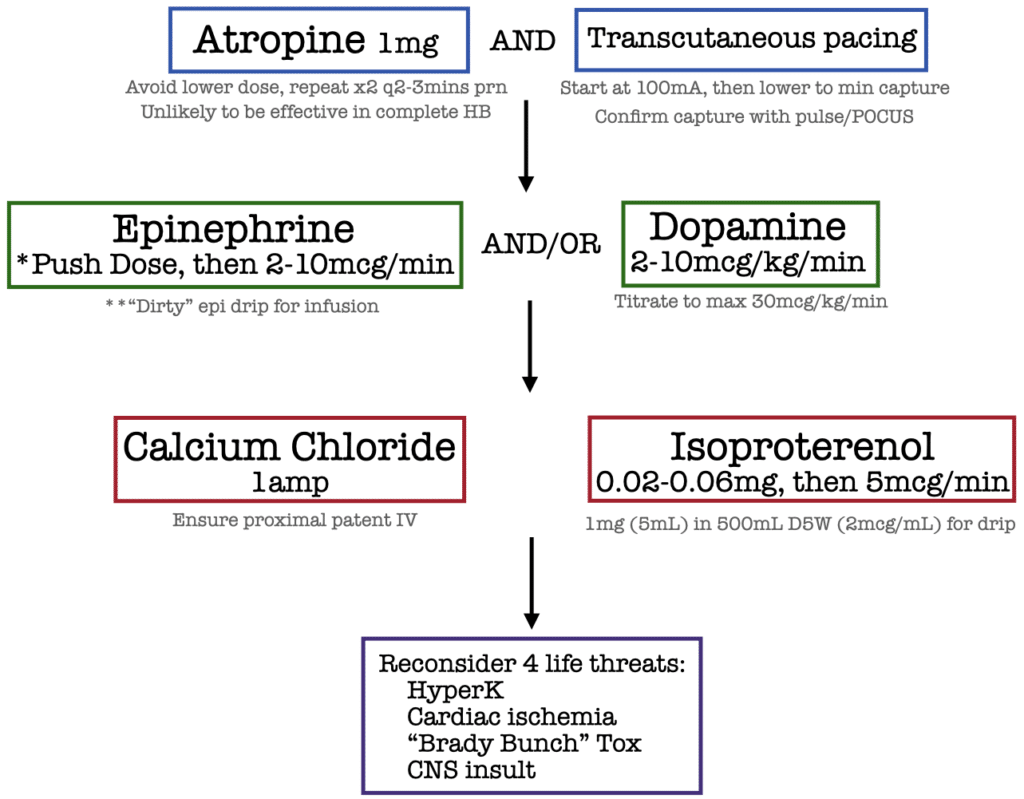 Treatment of Bradycardia and Bradydysrhythmias | Emergency Medicine Cases