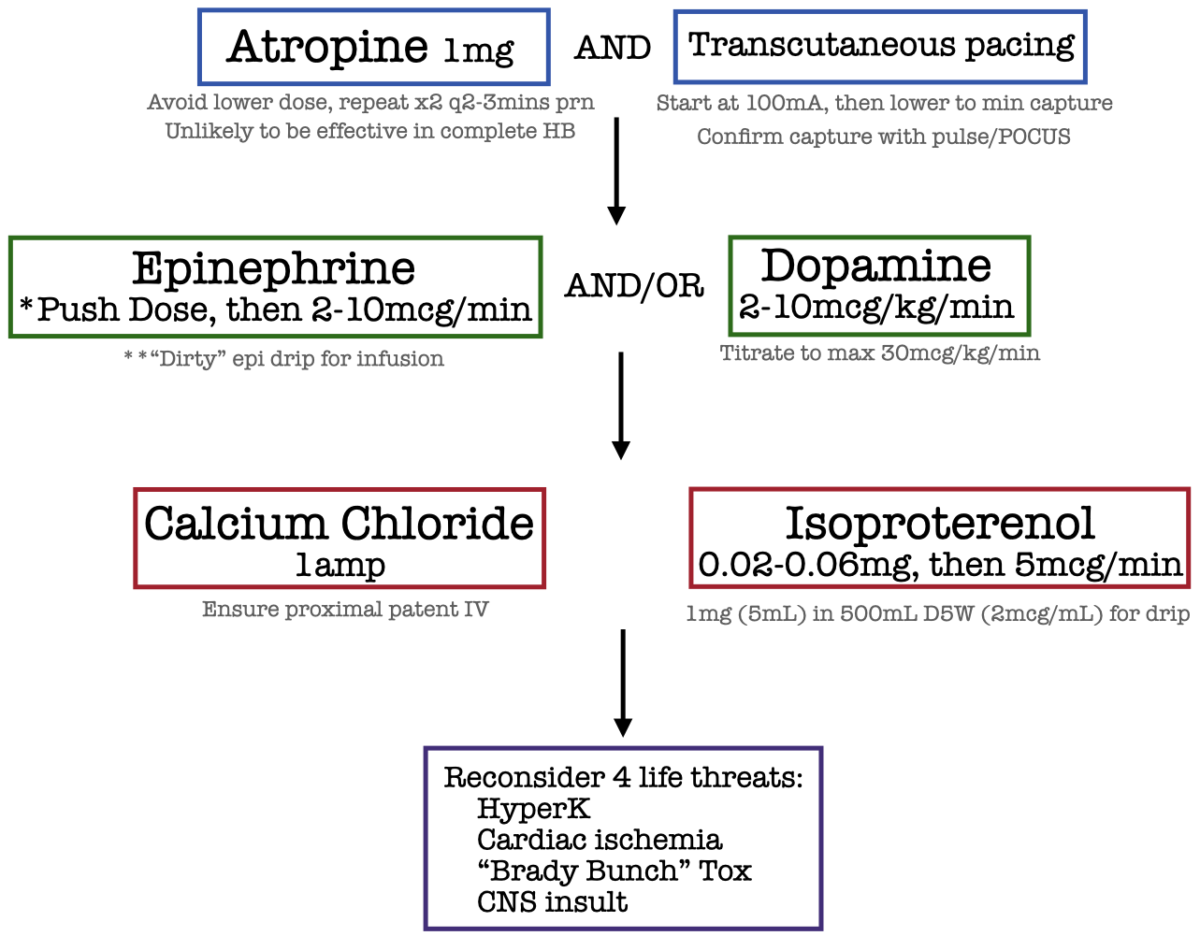 Treatment of Bradycardia and Bradydysrhythmias | Emergency Medicine Cases