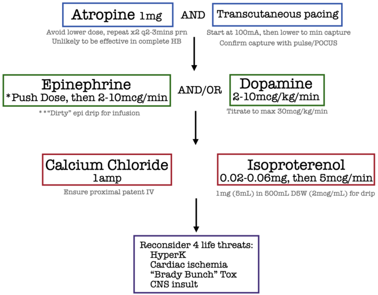 Treatment of Bradycardia and Bradydysrhythmias | Emergency Medicine Cases