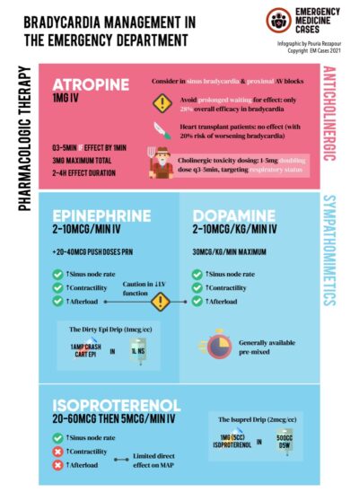 Treatment of Bradycardia and Bradydysrhythmias | Emergency Medicine Cases