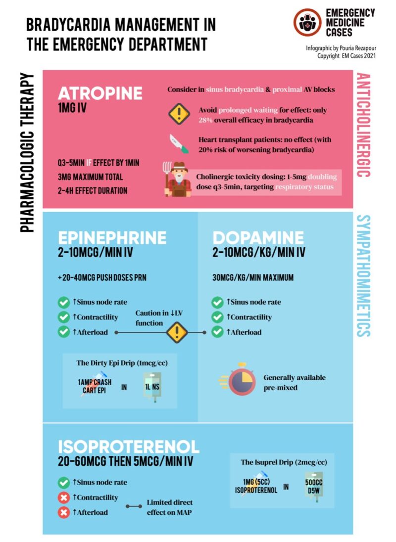 Treatment of Bradycardia and Bradydysrhythmias | Emergency Medicine Cases
