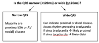 4-Step Approach to Bradycardia and Bradydysrhythmias | EM Cases