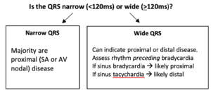 4-Step Approach to Bradycardia and Bradydysrhythmias | EM Cases