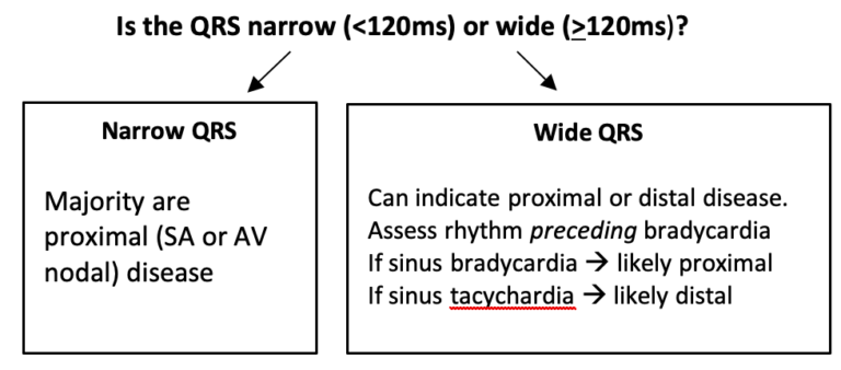 4-Step Approach to Bradycardia and Bradydysrhythmias | EM Cases