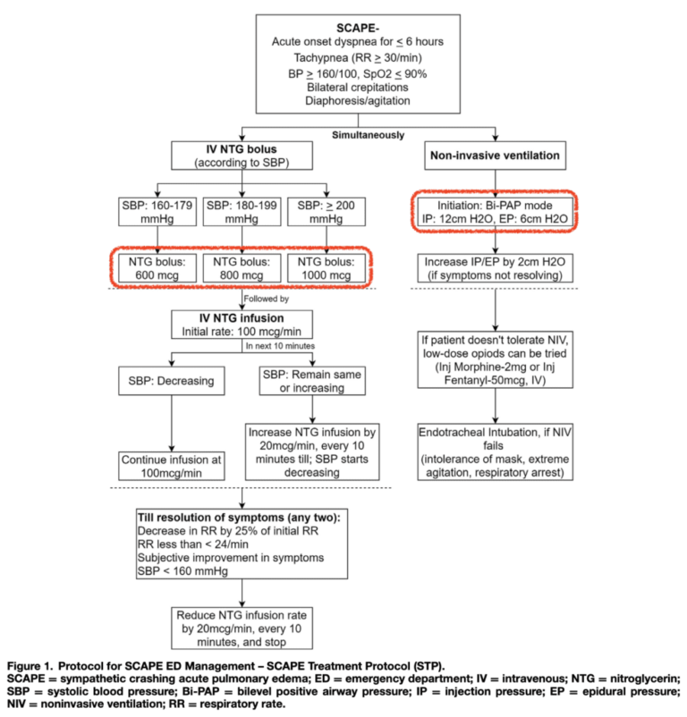 Acute Heart Failure ED Management | Emergency Medicine Cases