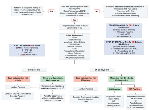 Febrile Infant Risk Stratification and Workup | Emergency Medicine Cases