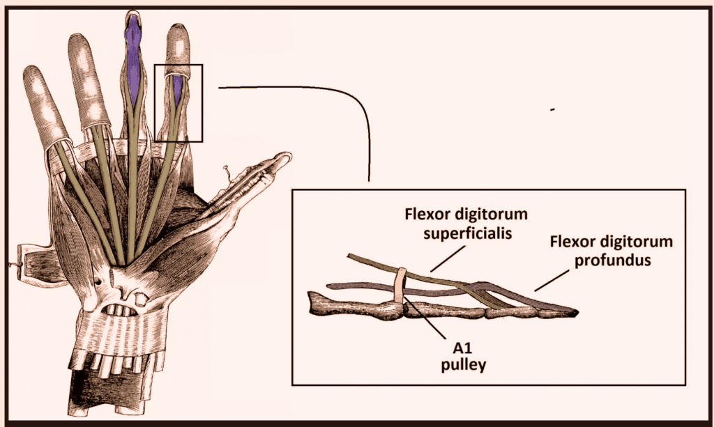 Hand Injuries - Pitfalls in Assessment | Emergency Medicine Cases