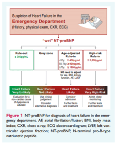 Acute Heart Failure Risk Stratification & Disposition | Emergency ...