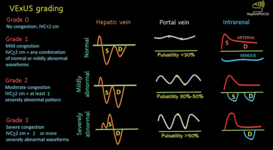 Acute Heart Failure Risk Stratification & Disposition | Emergency ...