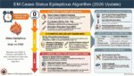 Management of Status Epilepticus Update | Emergency Medicine Cases